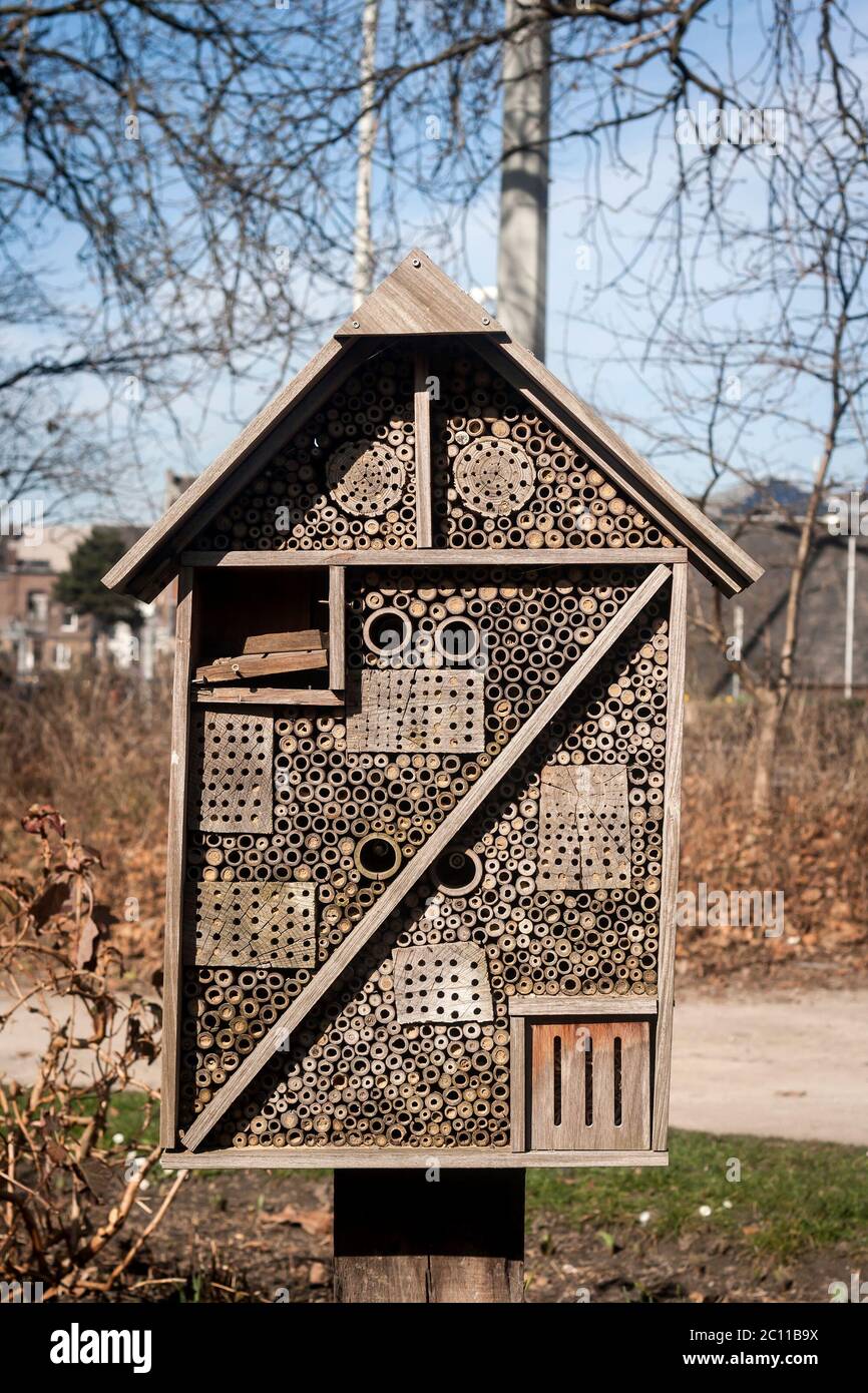 Residence for insects hi-res stock photography and images - Alamy