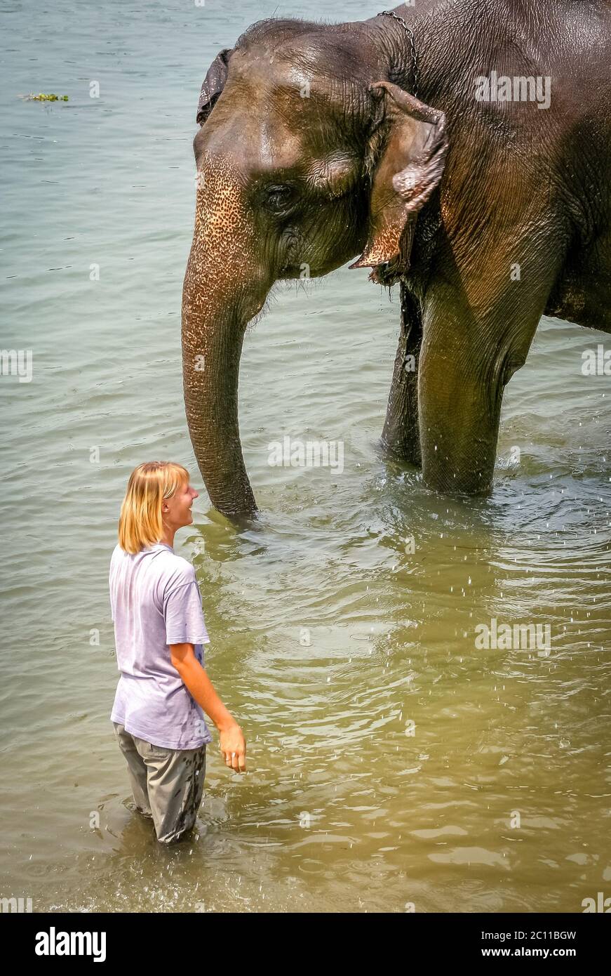 Laughing Elephant High Resolution Stock Photography and Images - Alamy