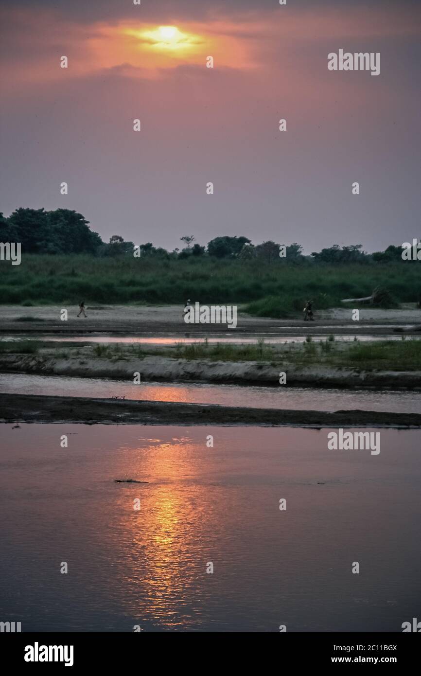 Terai jungle hi-res stock photography and images - Alamy