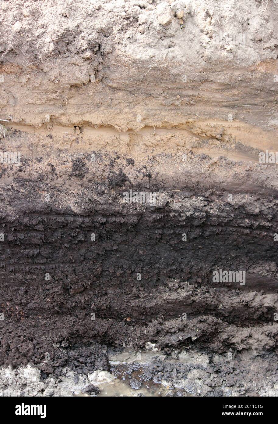 the trench depth and the earth layers, visible under peat extraction in ...
