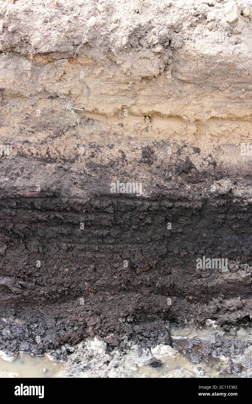 Layer of depth hi-res stock photography and images - Alamy