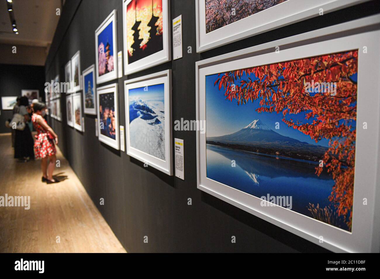 Haikou, China's Hainan Province. 13th June, 2020. Visitors tour the ...