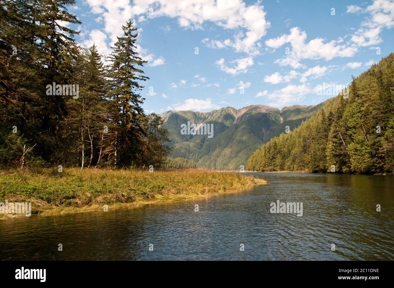 A river estuary at Poison Cove in Mussel Inlet, in the Great Bear ...
