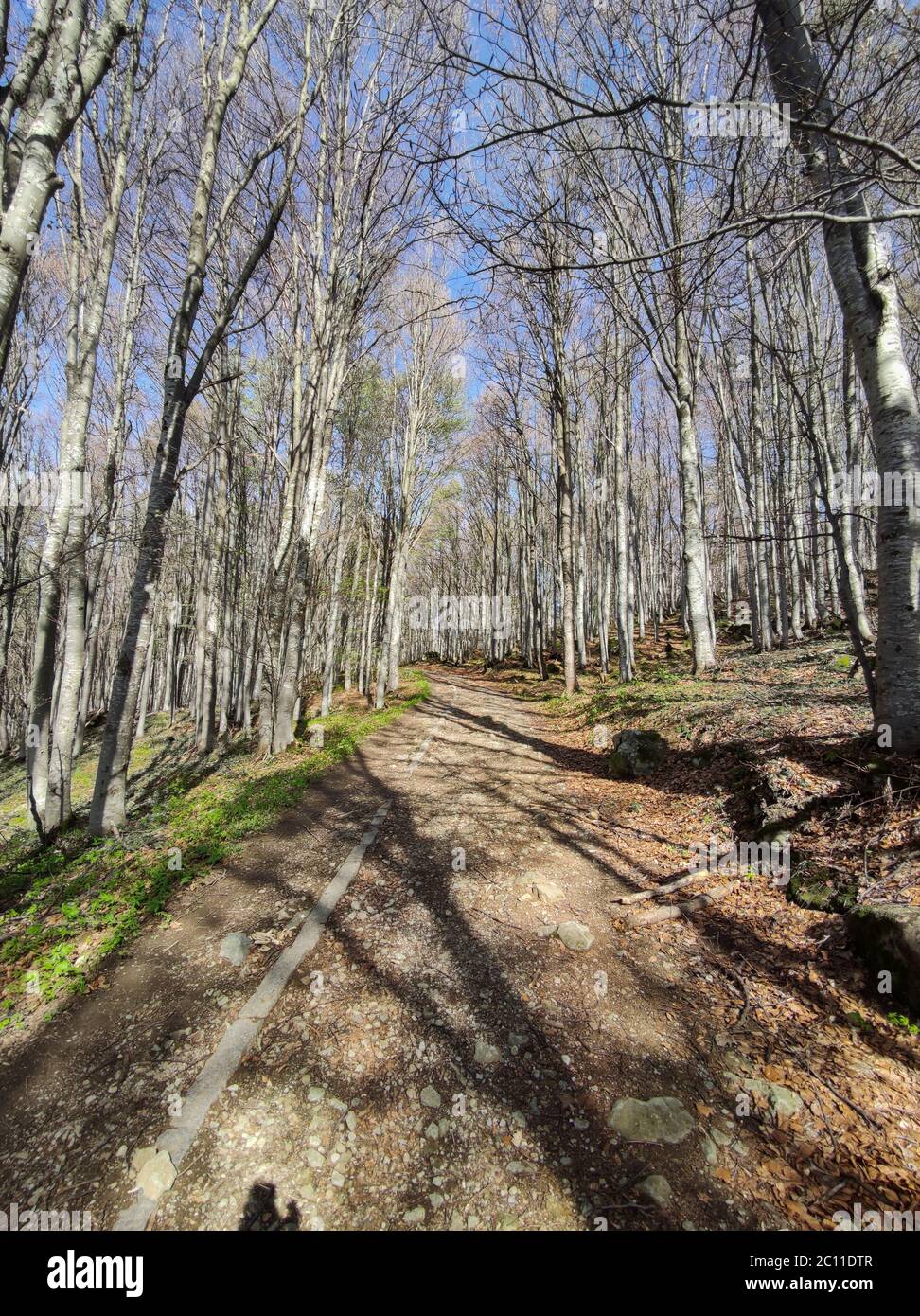 Spring landscape of Vitosha Mountain, Sofia City Region, Bulgaria Stock ...