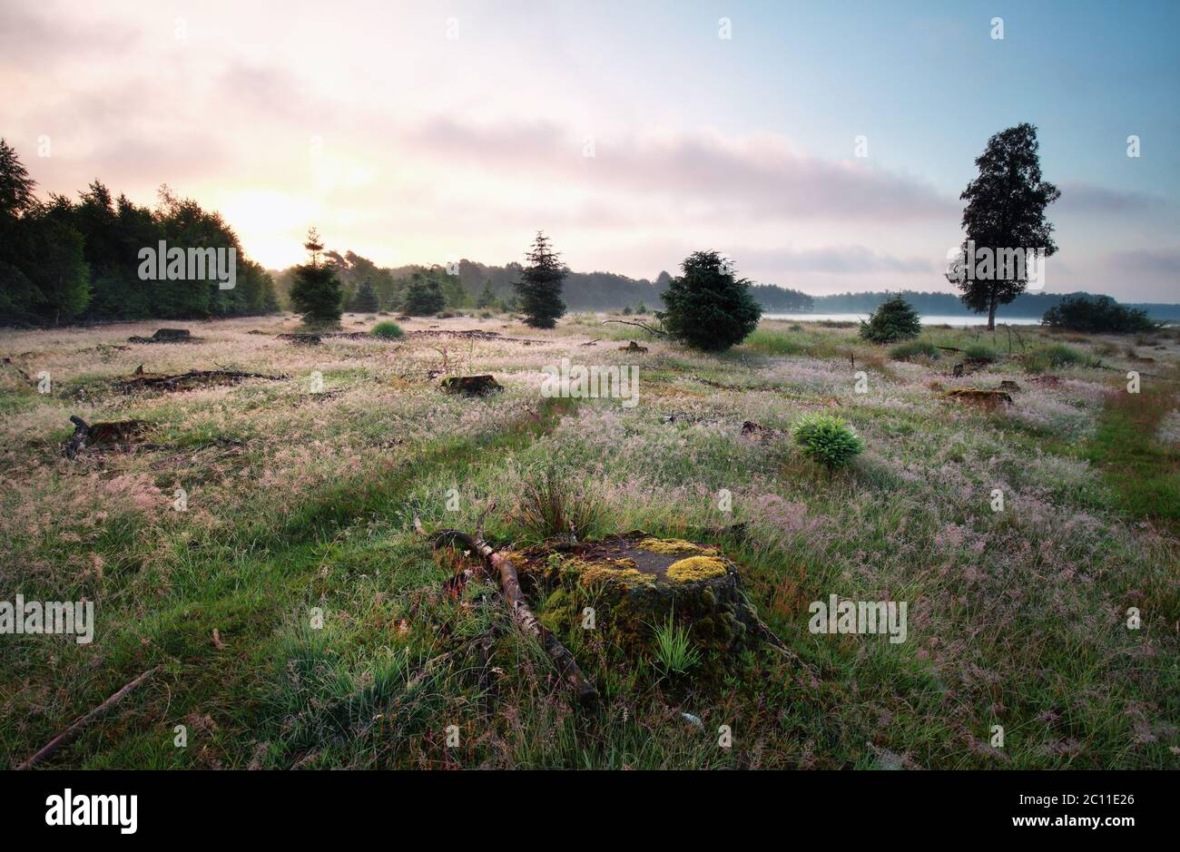 Calm meadow hi-res stock photography and images - Alamy
