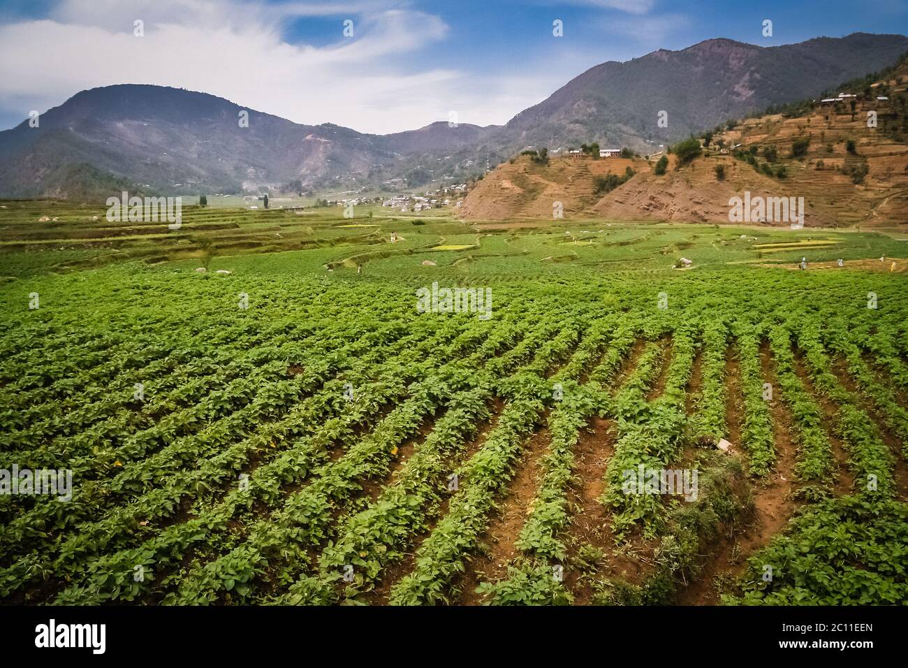 Nepali farming hi-res stock photography and images - Alamy