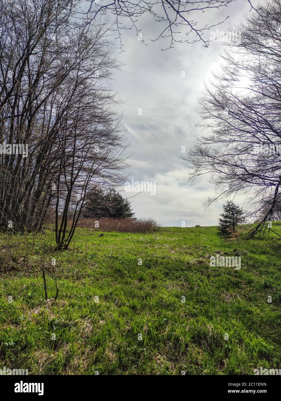 Spring landscape of Vitosha Mountain, Sofia City Region, Bulgaria Stock ...