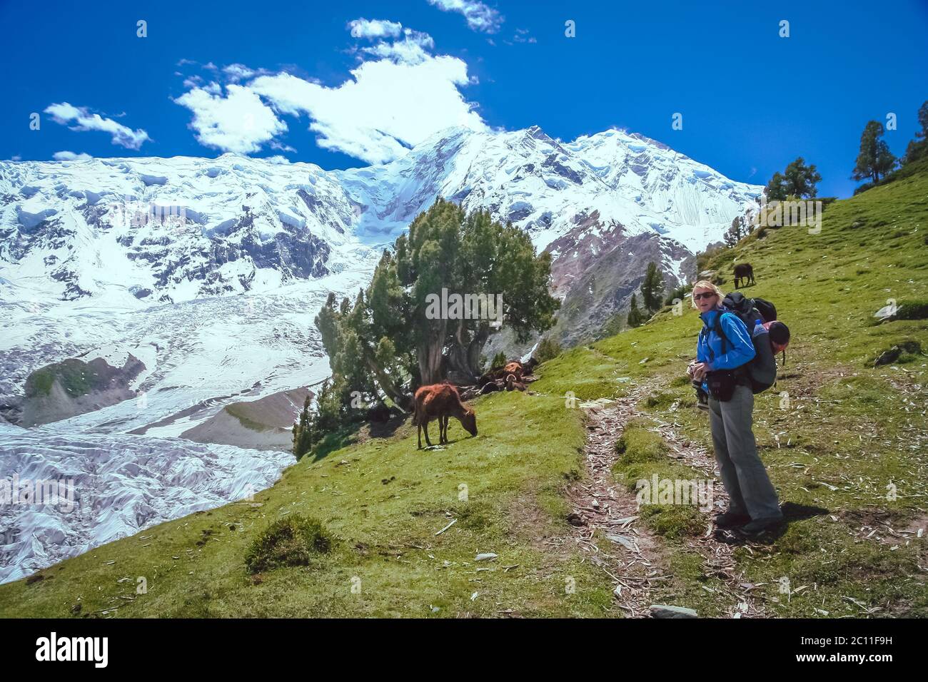 Rakaposhi base camp hi-res stock photography and images - Alamy