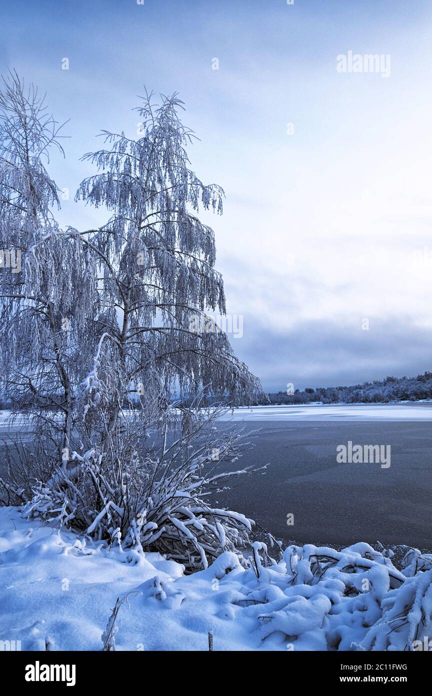 Winter landscape with trees, covered with hoarfrost and lake Stock ...