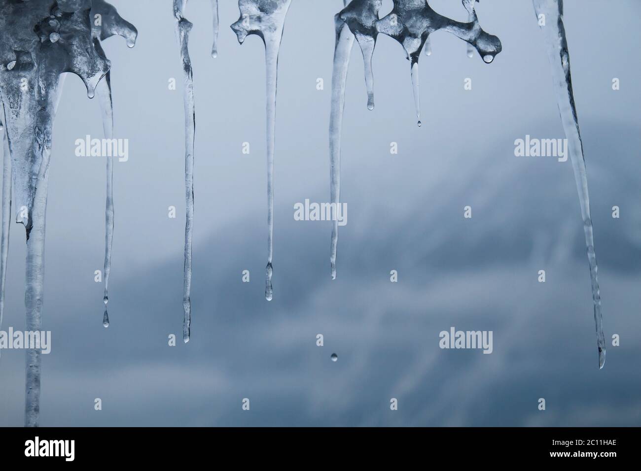 Transparent melting icicles hanging hi-res stock photography and images ...