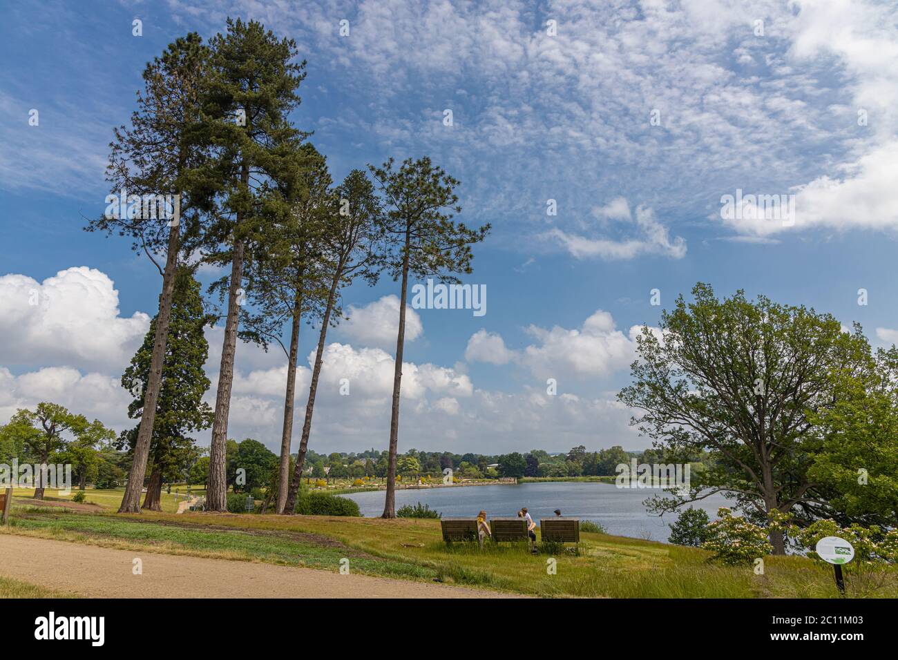 Images of Trentham Gardens in Stoke-on-Trent Staffordshire, UK Stock ...
