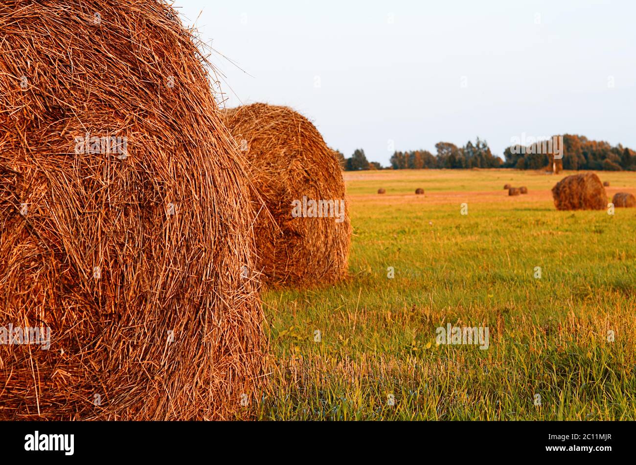 With haymaking scene hi-res stock photography and images - Alamy