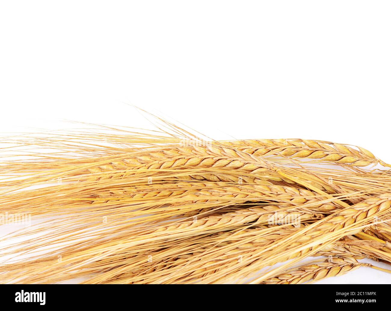 Ears of ripe wheat isolated on a white Stock Photo - Alamy