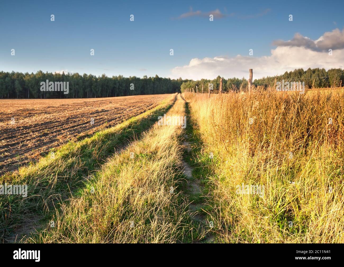 Beautiful landscape with rural sandy road at sunrise Stock Photo - Alamy