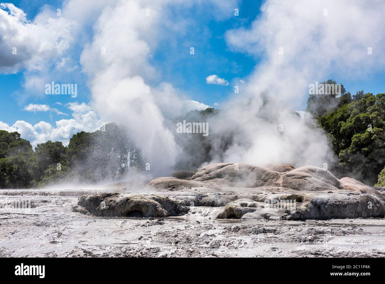 Geyser in Rotorua, New Zealand Stock Photo - Alamy