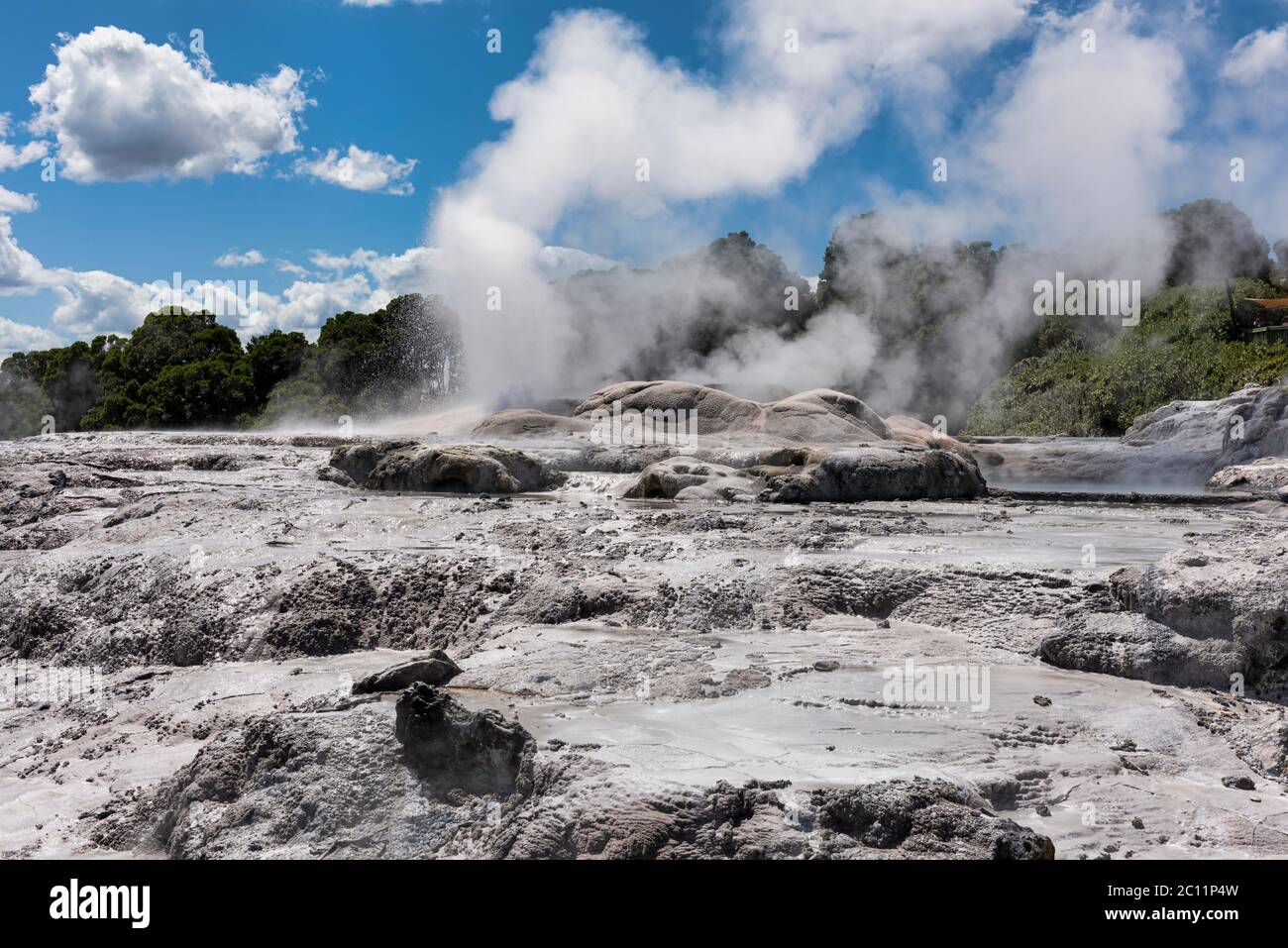 Geothermal geyser in rotorua hi-res stock photography and images - Alamy