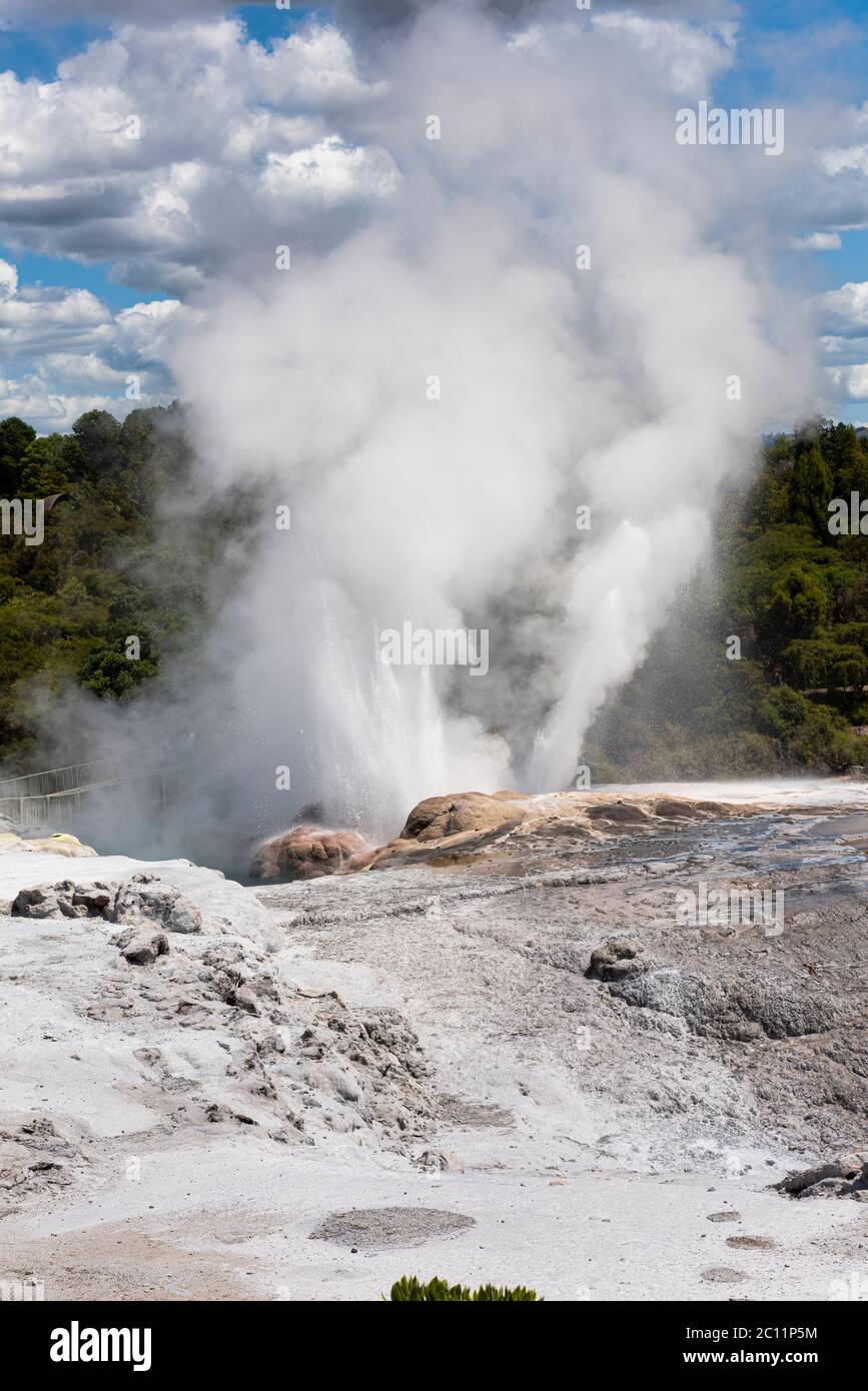 Geothermal geyser in rotorua hi-res stock photography and images - Alamy
