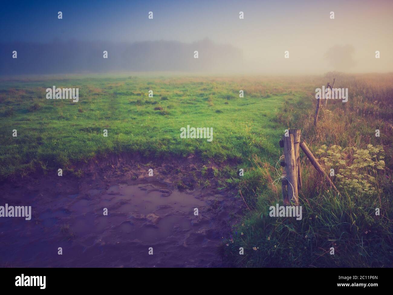Beautiful photo of rural foggy meadow landscape photographed at sunrise ...