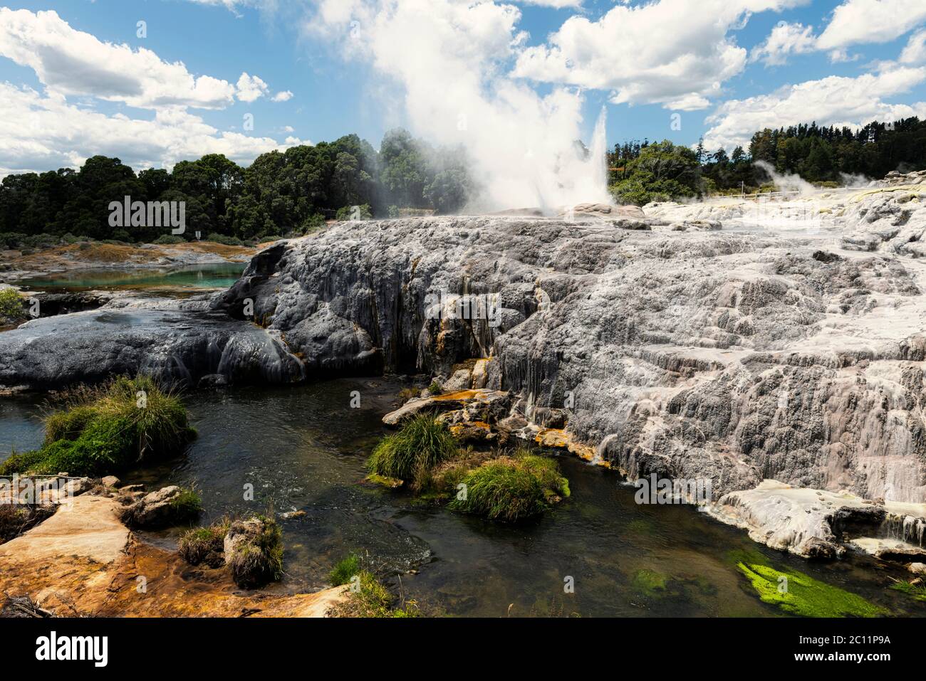 Boiling Mud Pool in Rotorua, New Zealand Stock Photo - Alamy