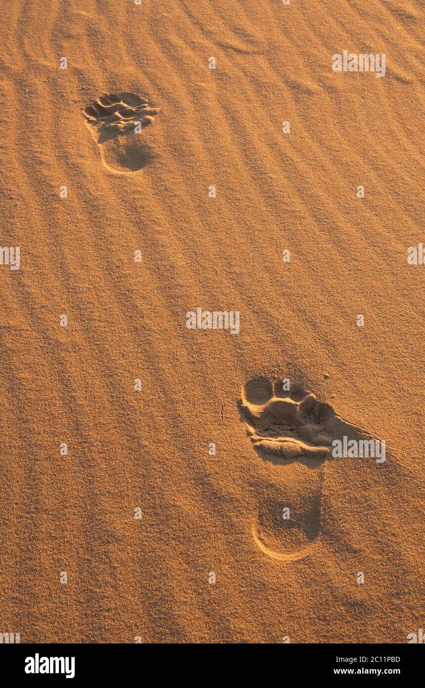 Background of close up sand structures with footprints Stock Photo - Alamy