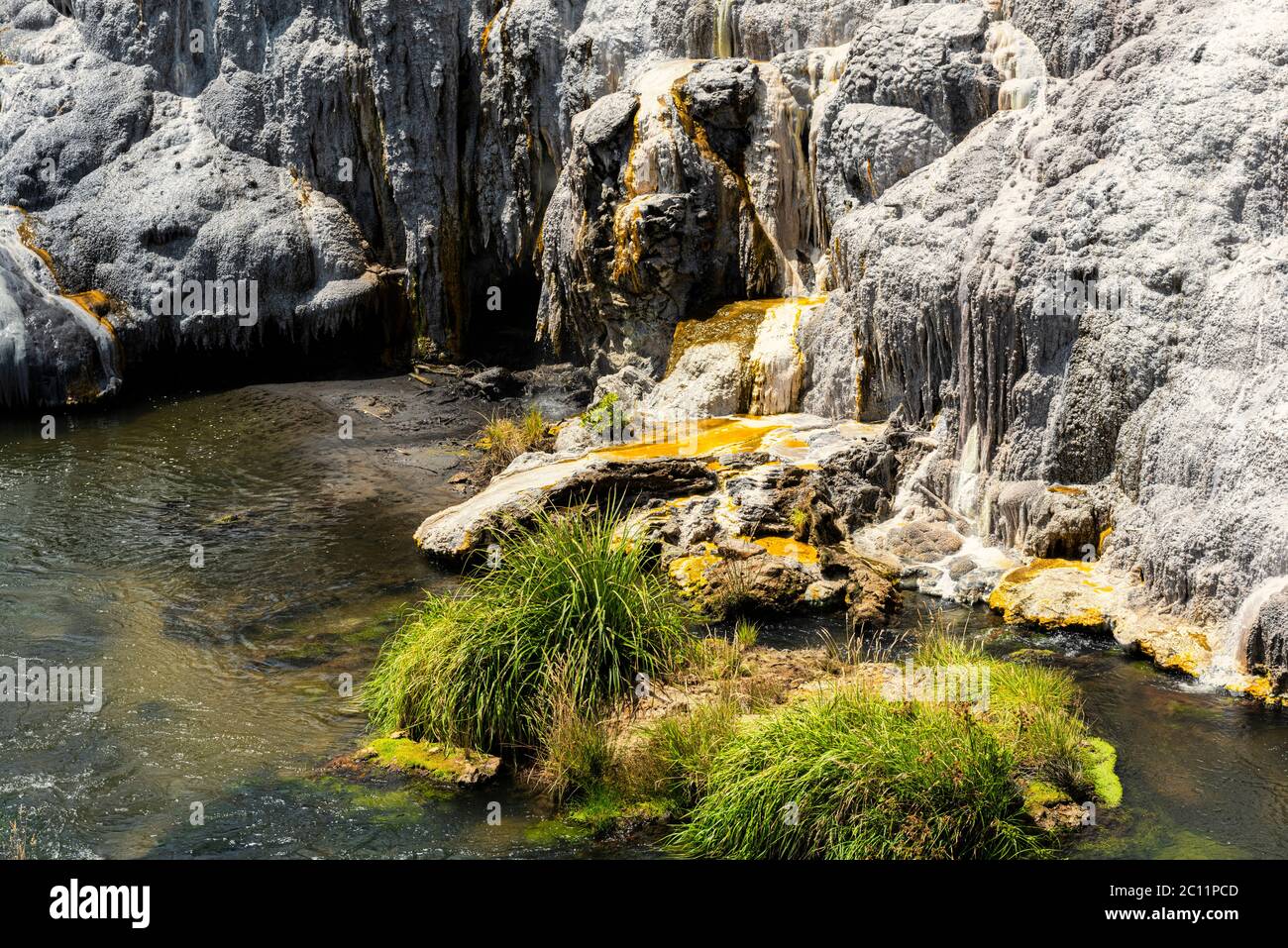 Boiling Mud Pool in Rotorua, New Zealand Stock Photo - Alamy