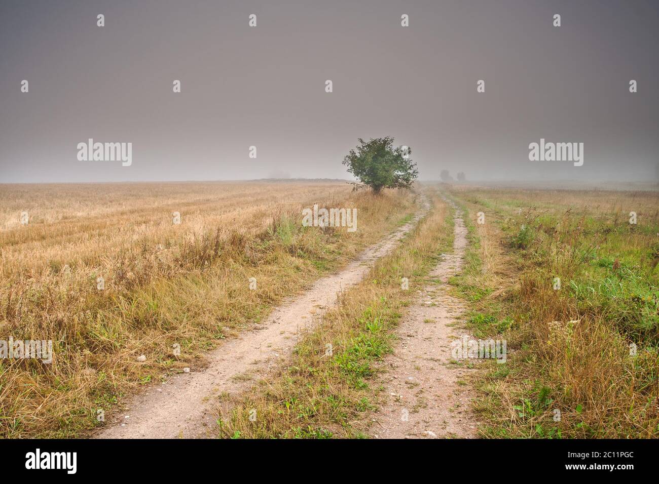 Beautiful landscape with rural sandy road at sunrise Stock Photo - Alamy