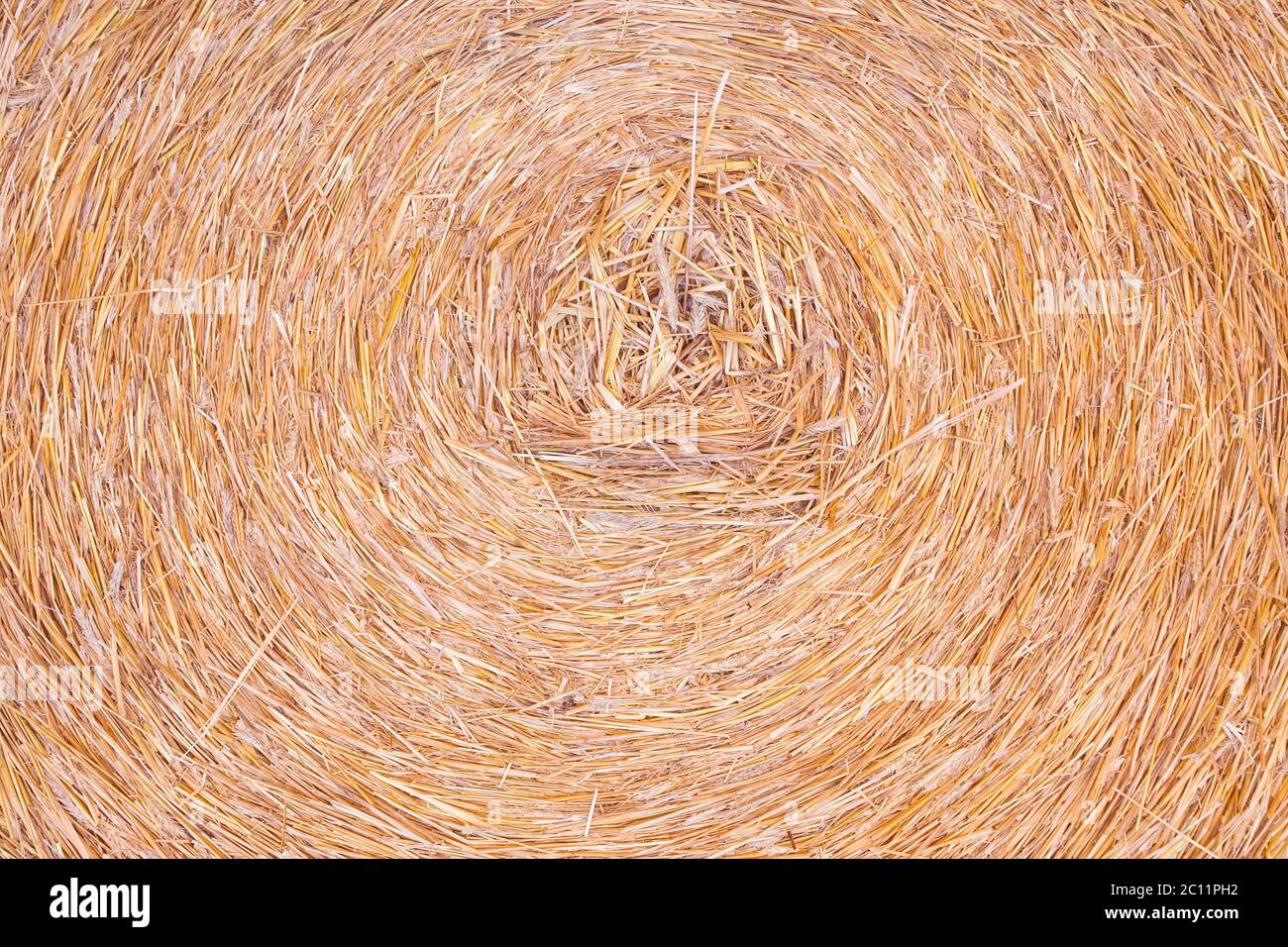 Bale straw in field close hi-res stock photography and images - Alamy