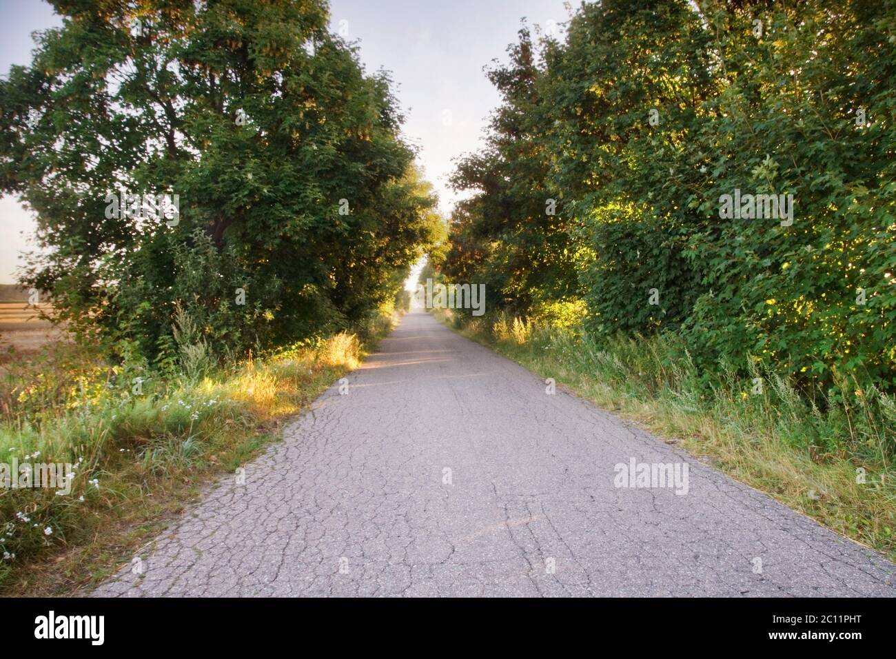 Landscape rural asphalt road hi-res stock photography and images - Alamy