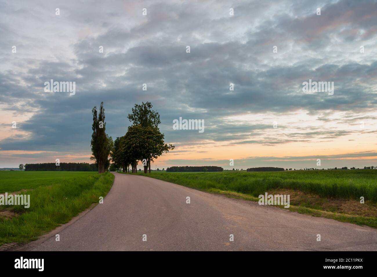 Beautiful rural landscape with asphalt road near fields Stock Photo - Alamy