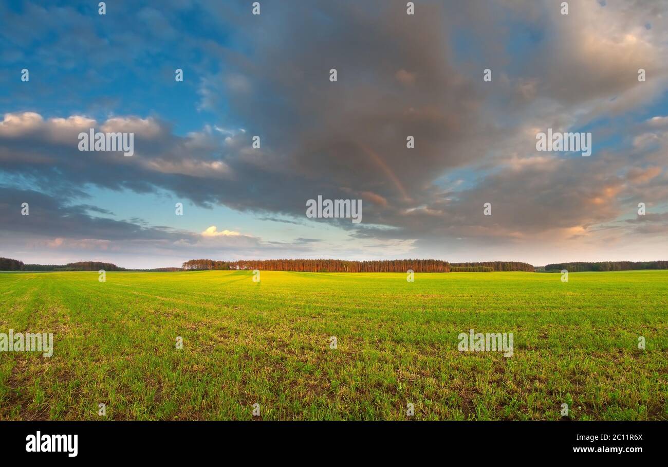 Beautiful landscape with young green field photographed during late ...