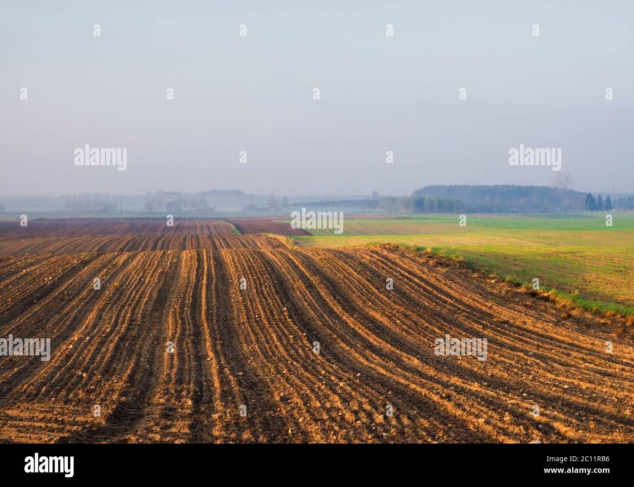 Polish rural landscape hi-res stock photography and images - Alamy