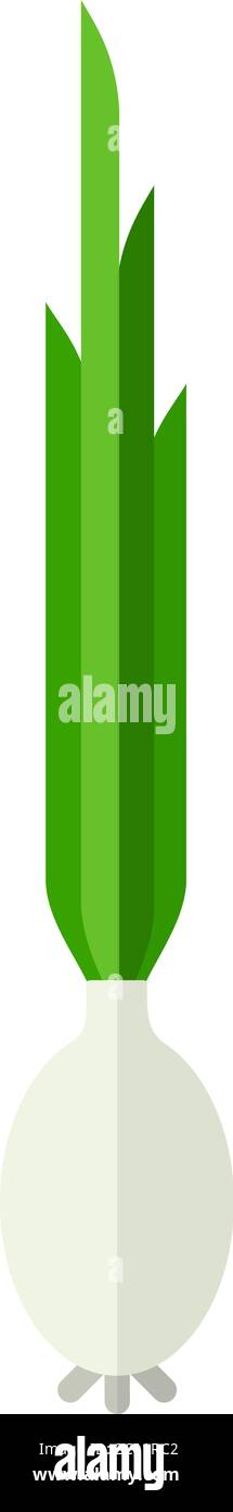 Fresh green onion sprouts Stock Vector Images - Alamy