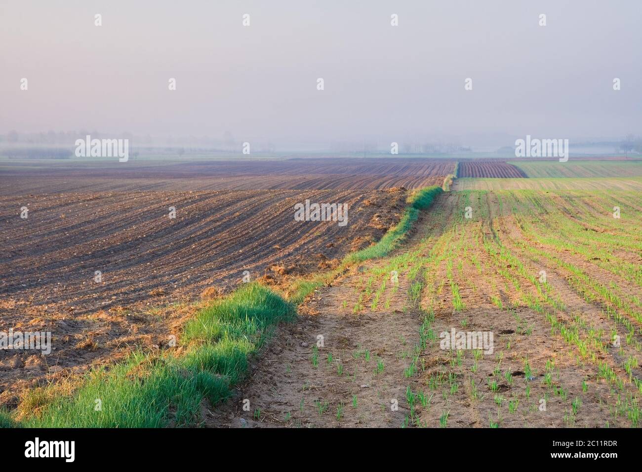 Polish rural landscape hi-res stock photography and images - Alamy
