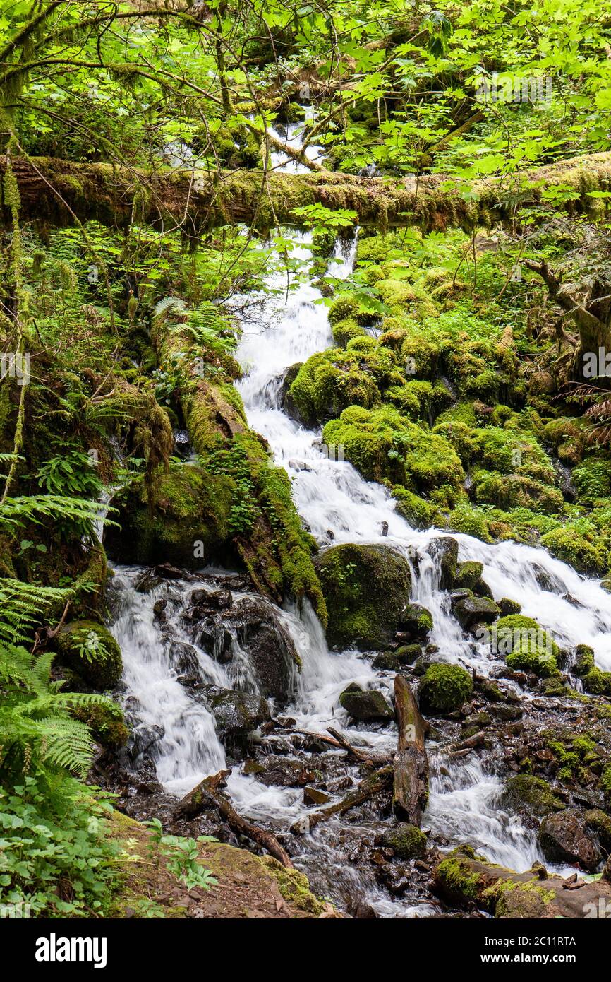 River in Multnomah Creek Stock Photo - Alamy