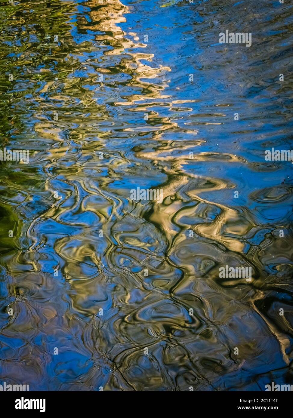Abstract tree water reflection Stock Photo - Alamy