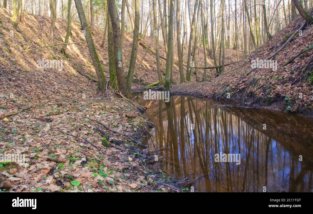 Wild beautiful polish river in rural landscape Stock Photo - Alamy