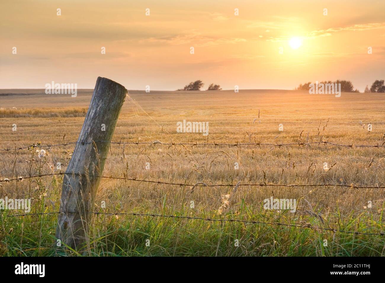 Meadow fence hi-res stock photography and images - Alamy