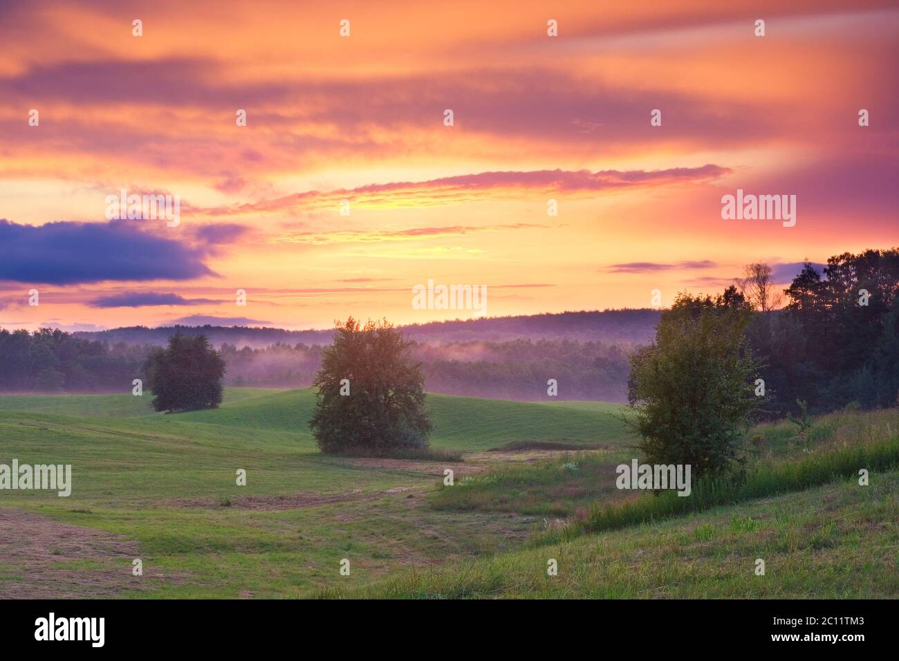 Painting sunset tree wallpaper landscape hi-res stock photography and ...