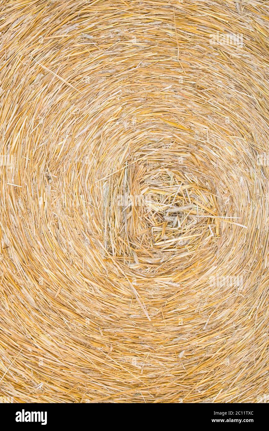 Straw bale structure in close up Stock Photo - Alamy