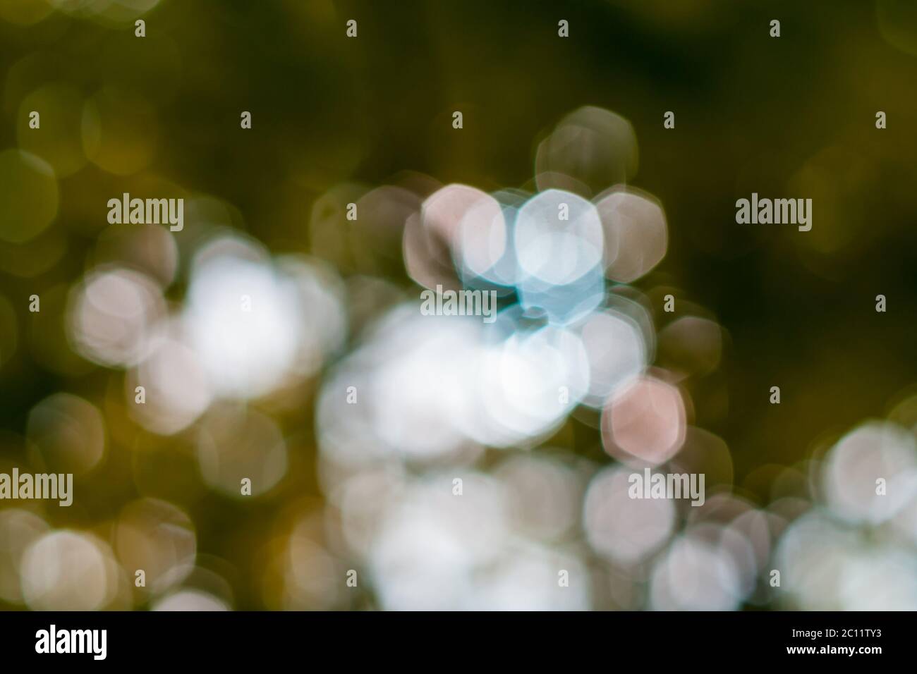 Beautiful nature bokeh soft color background photographed in forest ...