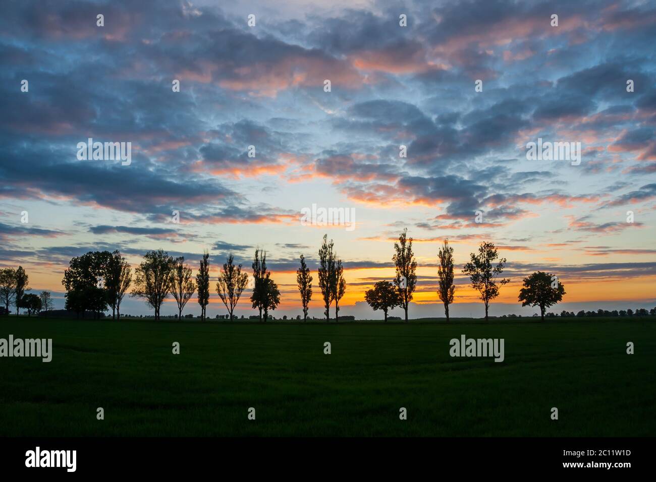 Beautiful sunset over field with trees silhouettes Stock Photo - Alamy