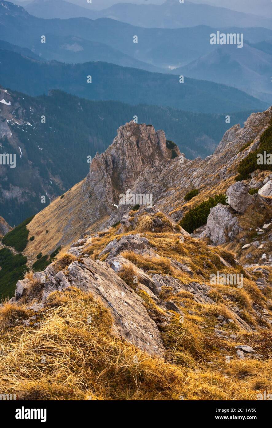 Tatra Mountains in spring time Stock Photo - Alamy