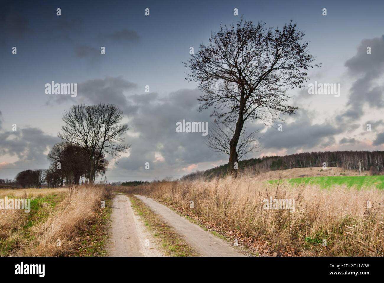 Sandy rural road in countryside at autumn Stock Photo - Alamy