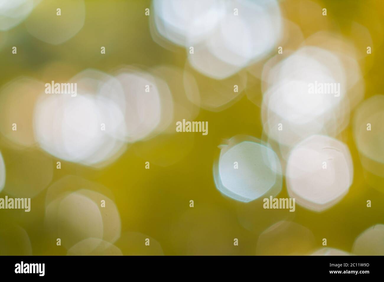 Beautiful nature bokeh soft color background photographed in forest ...