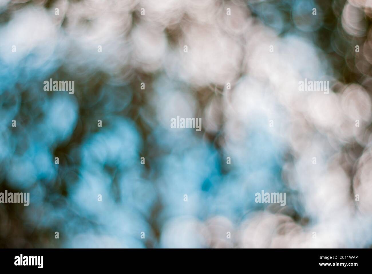 Beautiful nature bokeh soft color background photographed in forest ...