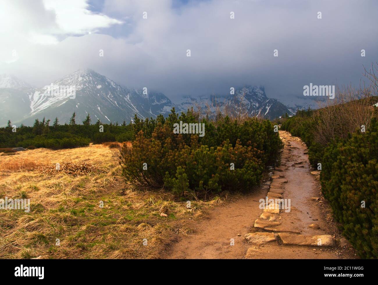 Tatra Mountains in spring time Stock Photo - Alamy