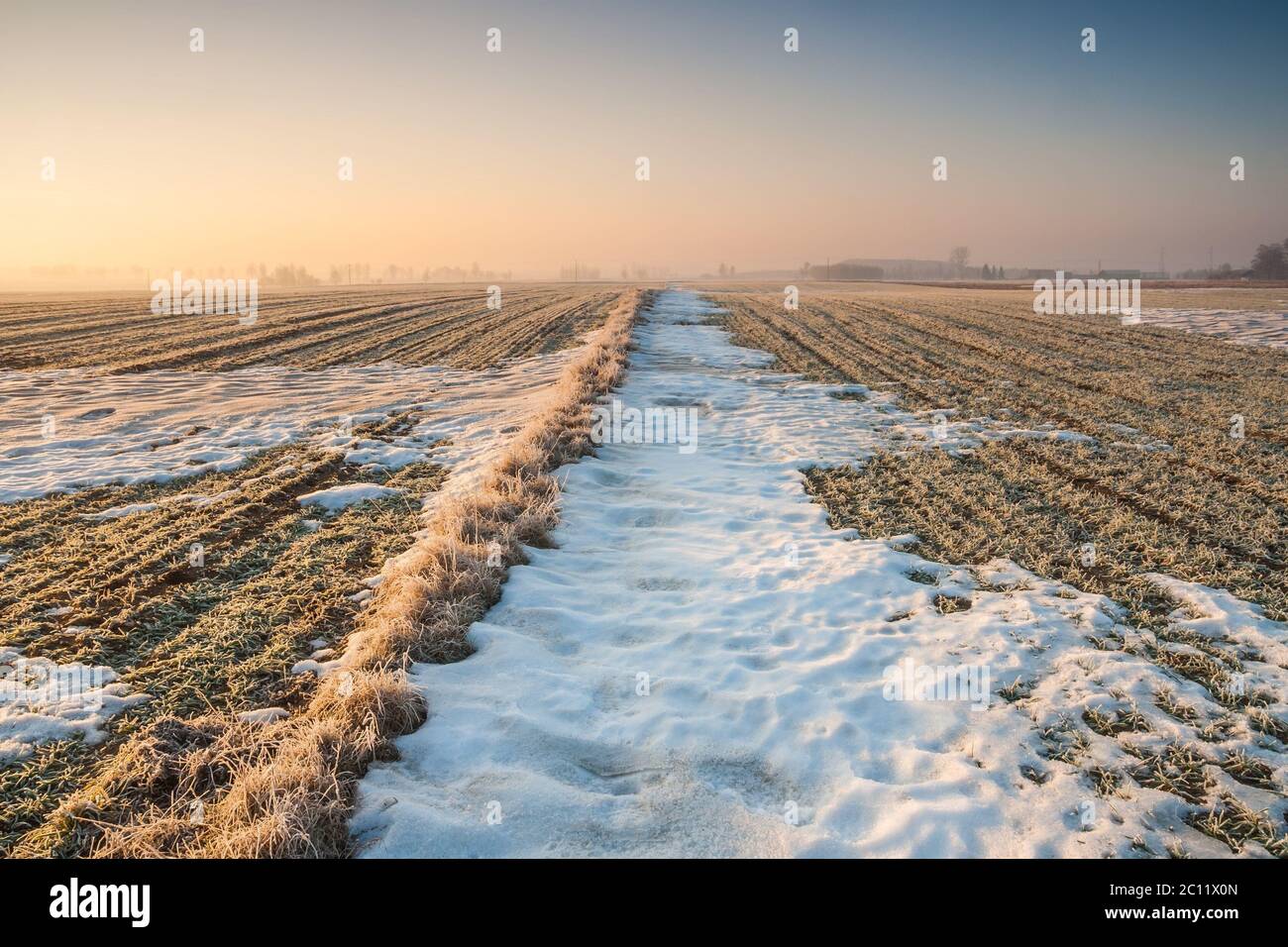 Winter field landscape with field covered by snow in Poland Stock Photo ...