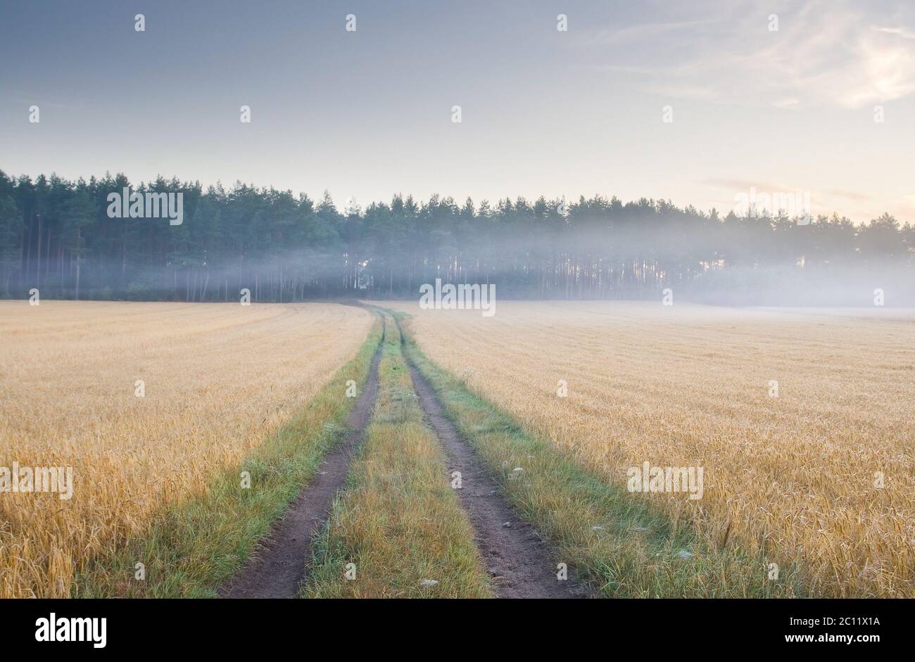 Beautiful landscape with rural sandy road at sunrise Stock Photo - Alamy
