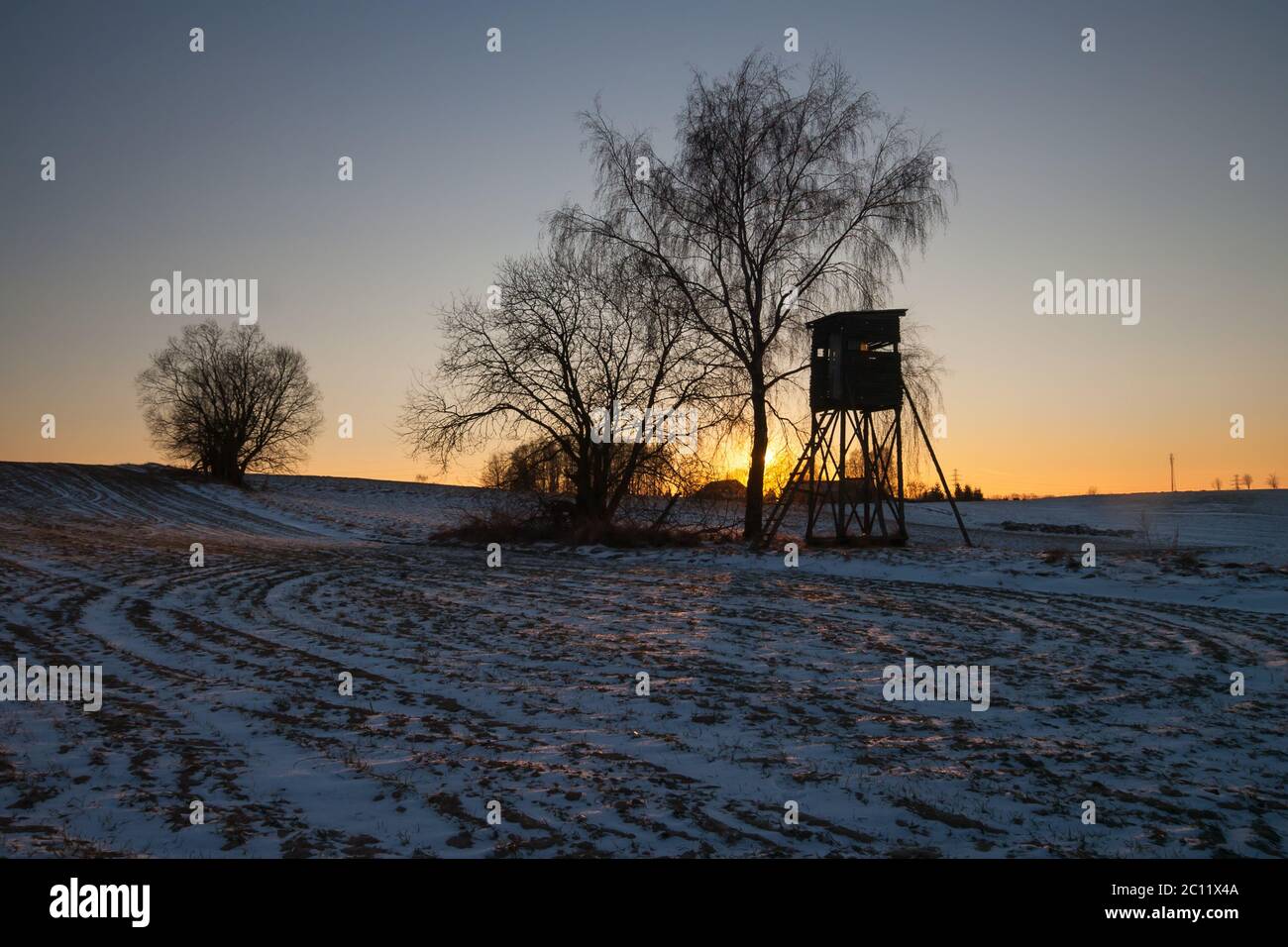 Beautiful winter field covered by snow and distant trees in tranquil ...
