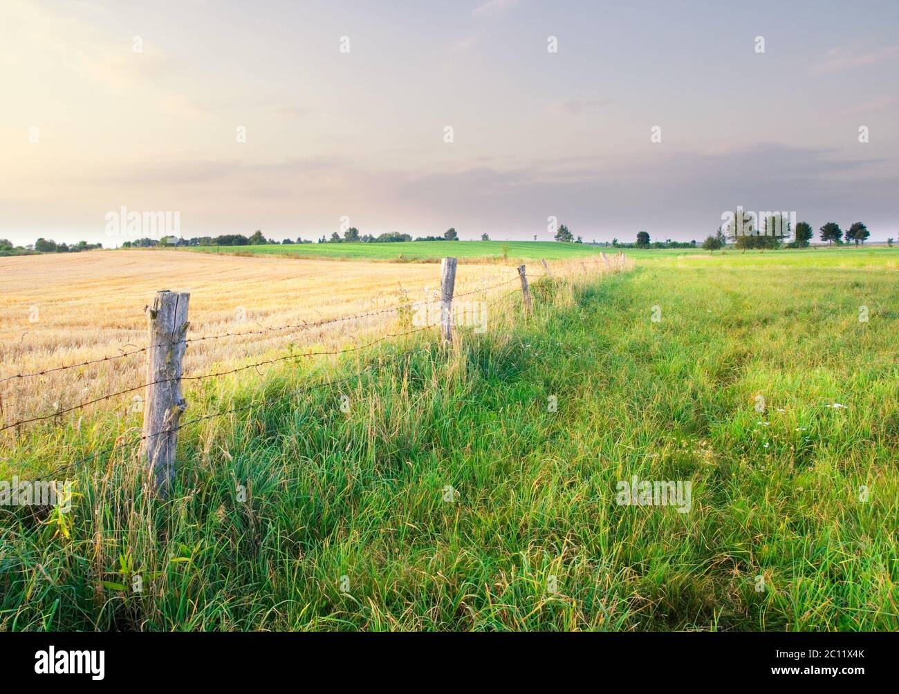 Meadow fence hi-res stock photography and images - Alamy